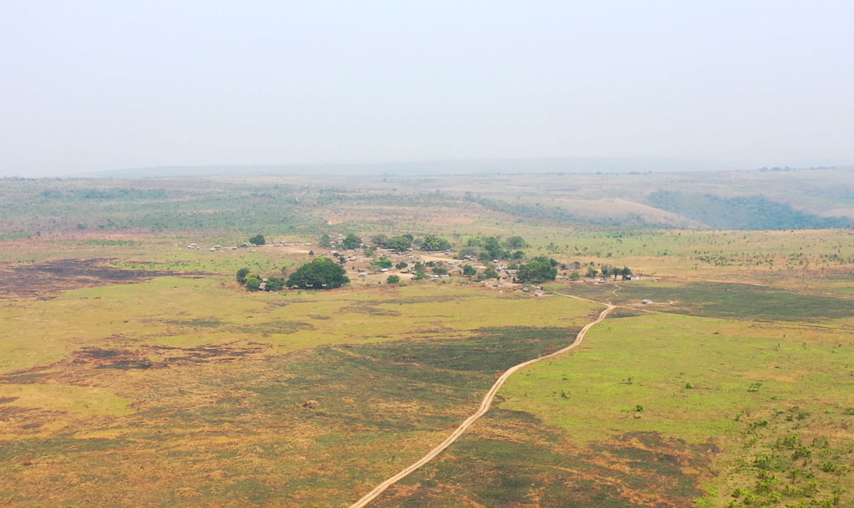 Why plant trees in Congo? | Colruyt Group