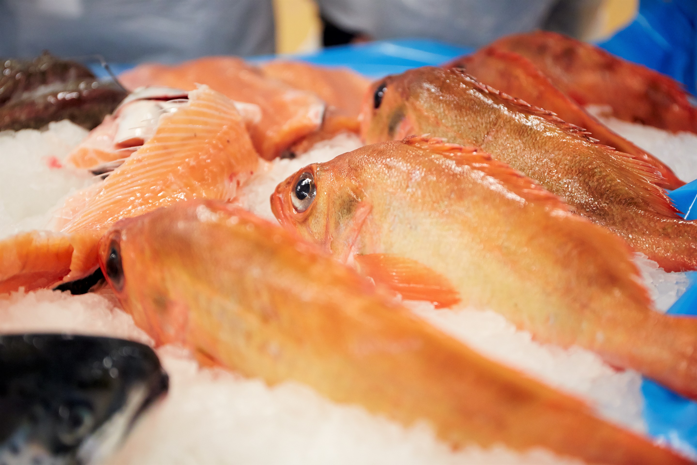 Alleen nog duurzame vis op ons bord | Colruyt Group