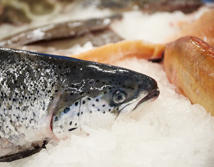 Ingrediënten en grondstoffen met een duurzaamheidscertificaat | Colruyt ...