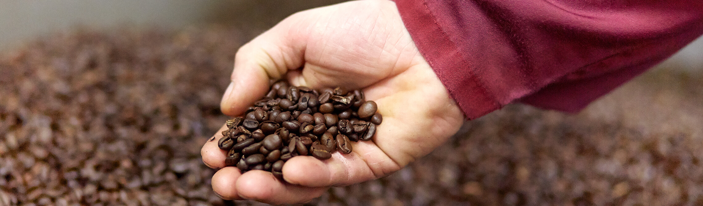 Merken | Colruyt Group