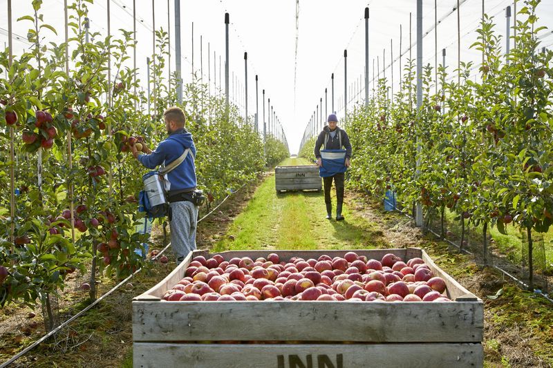 Een duurzamer assortiment | Colruyt Group